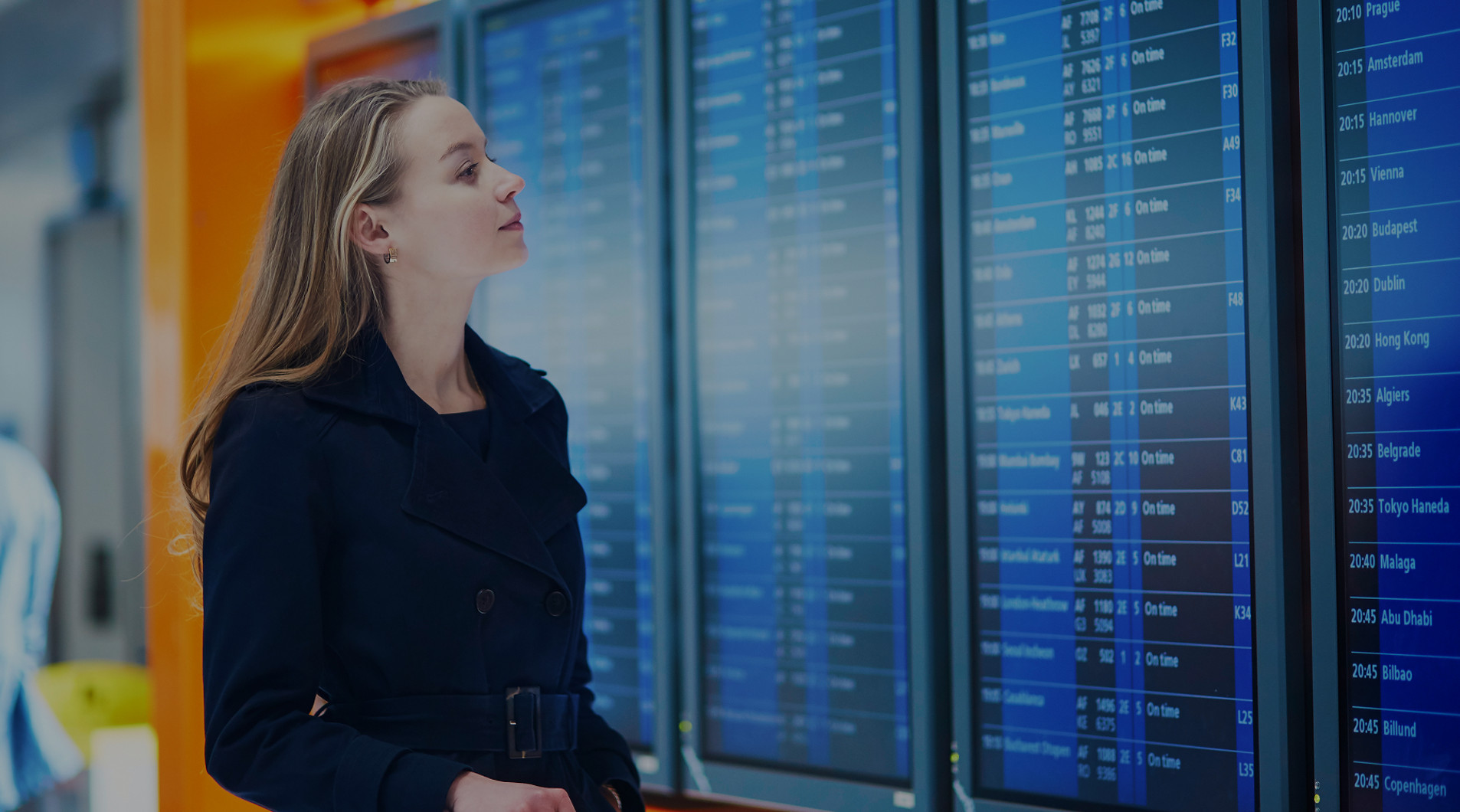 Flight Data Sets - Premium Aviation Data Solutions | OAG